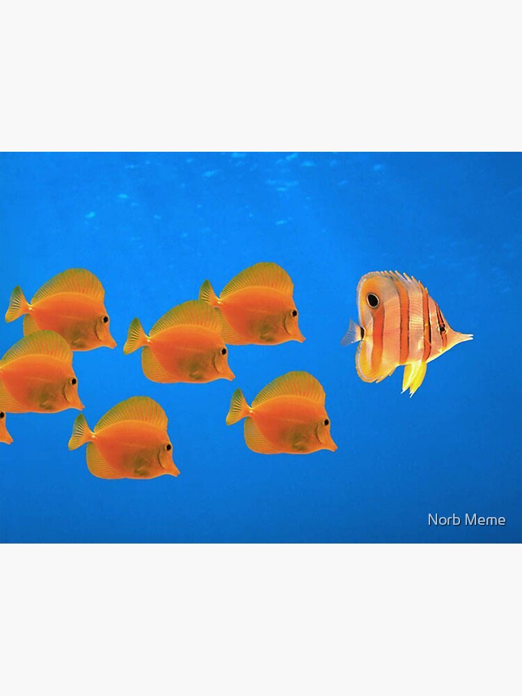 "Windows XP Fish Wallpaper Nostalgia Y2K Computer Aesthetic" Sticker ...