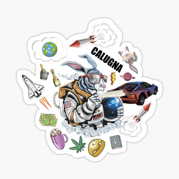 "CRAZY RABBIT ON AIR - THE ILLUSION OF THE 21ST CENTURY" Sticker for ...