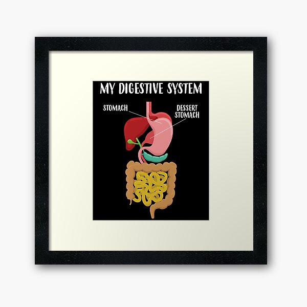 "Funny Dessert Stomach Gastroenterologist Digestive System graphic ...