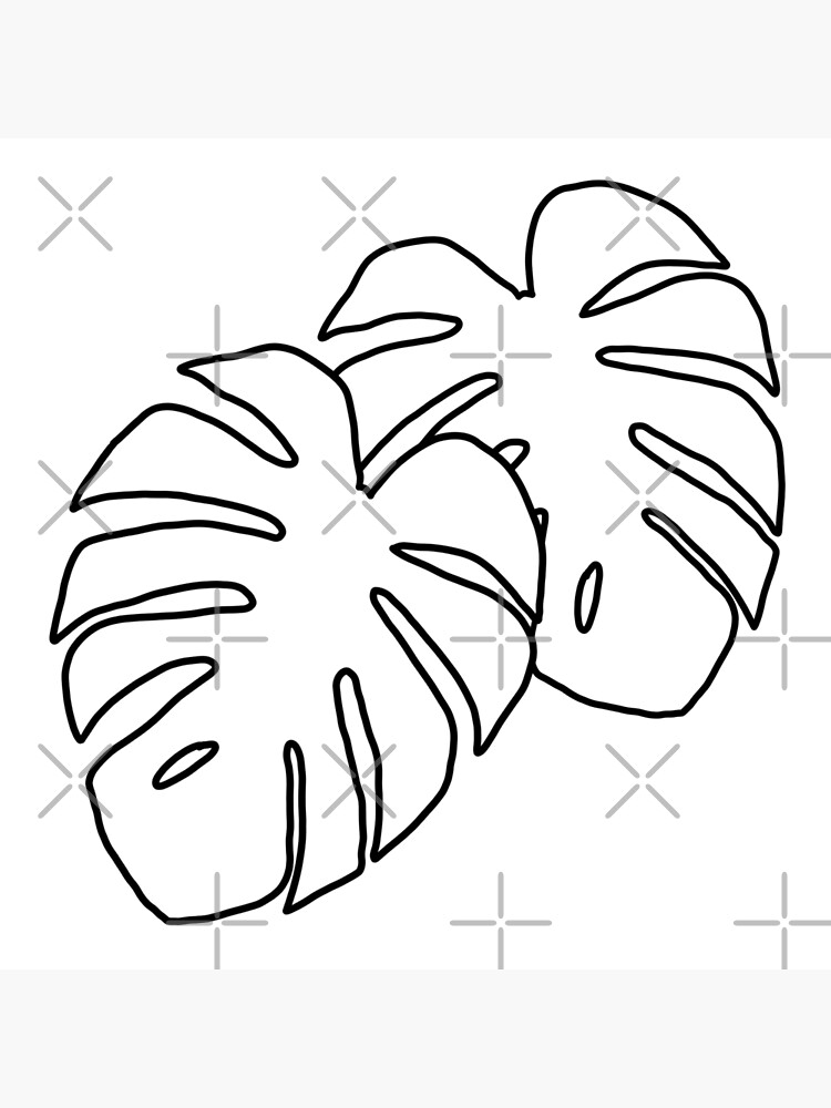 "Monstera Line Art" Poster for Sale by sarabee13 | Redbubble