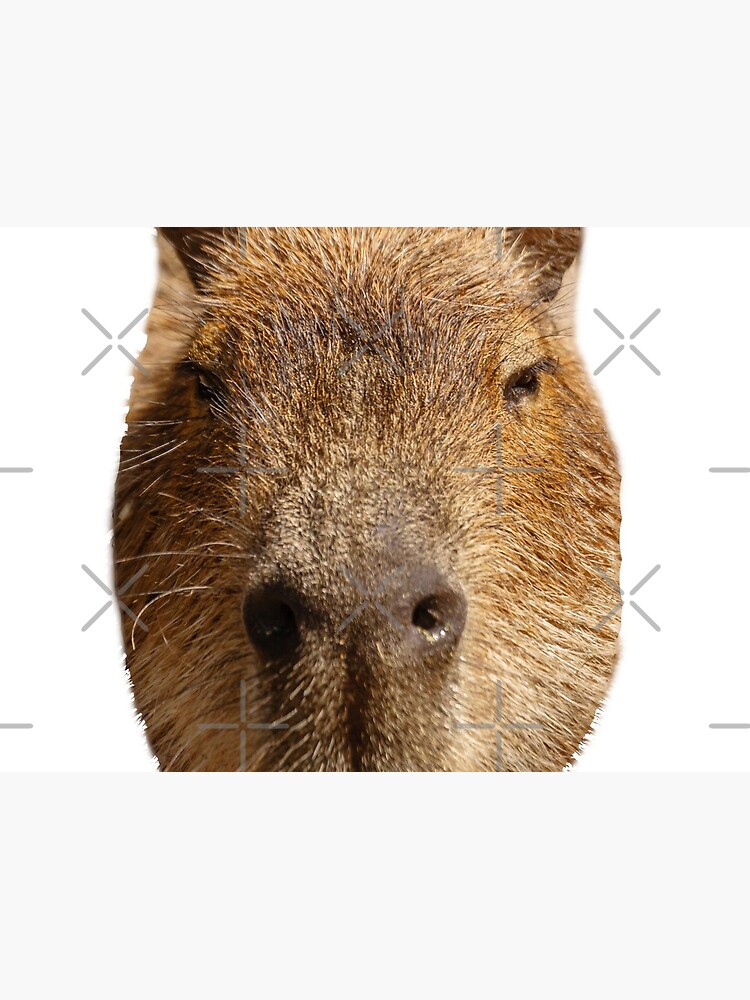 "Capybara face" Mask for Sale by Dalyn | Redbubble