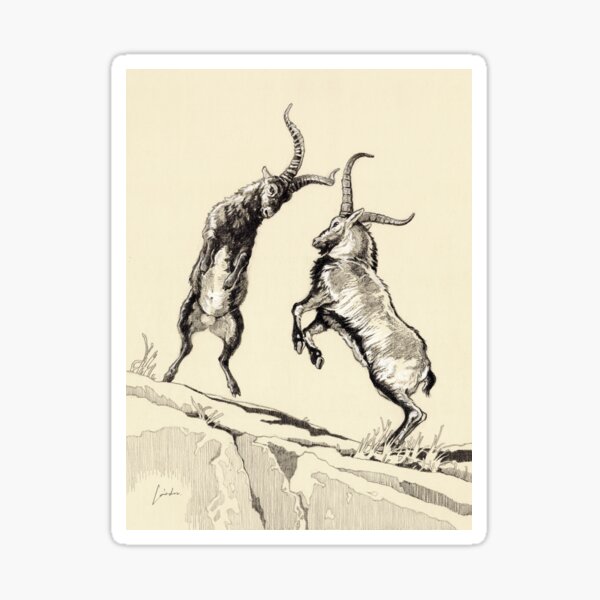 "Capra Ibex fight" Sticker by SakalDesign | Redbubble