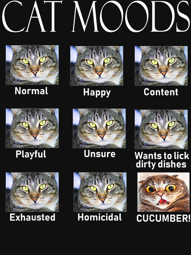 "Cat Moods" T-shirt by DanteShop | Redbubble