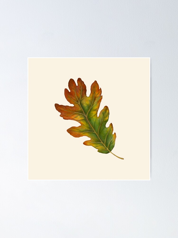 "Oak Leaf" Poster for Sale by Sammalpeitto | Redbubble