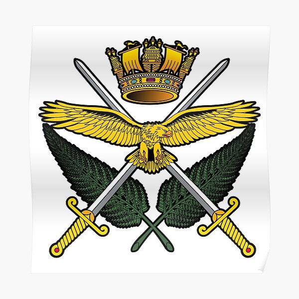 Air New Zealand Posters | Redbubble