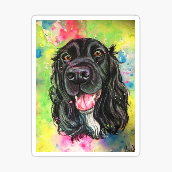 "Black cocker spaniel , colourful watercolour background " Sticker by ...