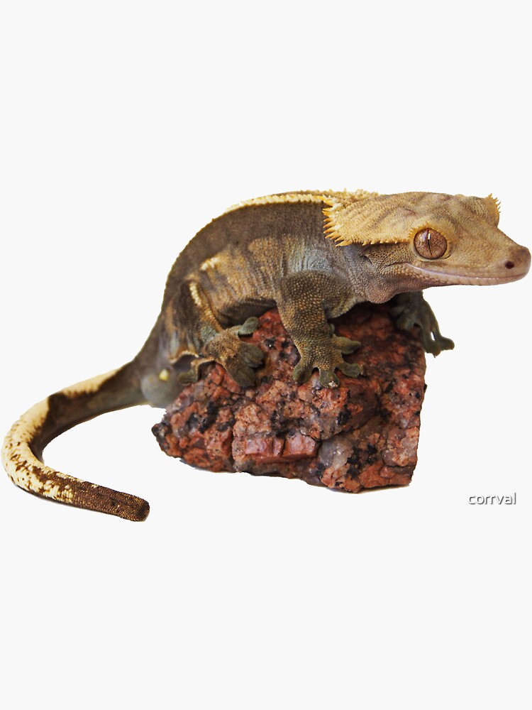 "BIG BOY " Sticker by corrval | Redbubble