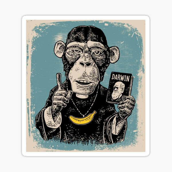 "Monkey Darwin" Sticker for Sale by blegor | Redbubble