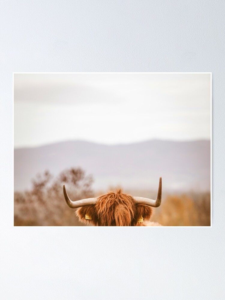 "Staring Contest" Poster for Sale by HugJen | Redbubble