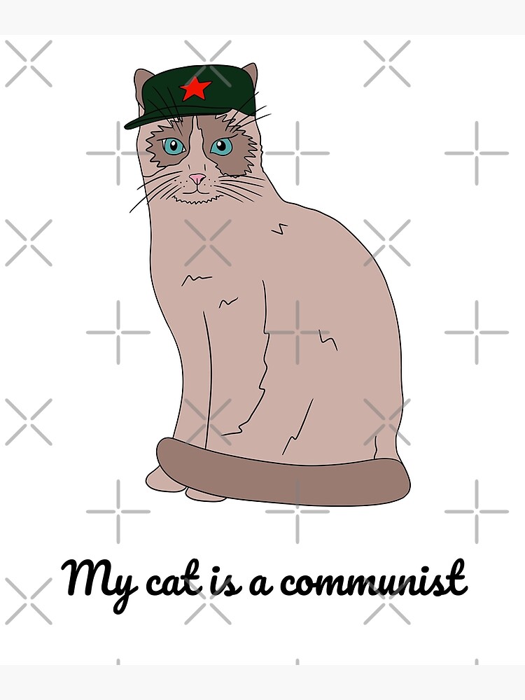 "My cat is a communist - a funny Fidel Castro cat" Poster for Sale by ...