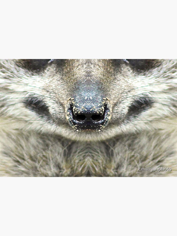 "Meerkat Face Photo Facemask" Sticker for Sale by cmilliganphoto ...