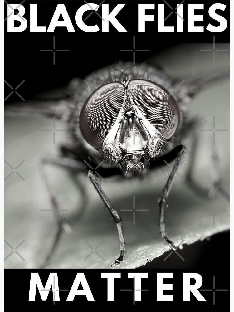 "Black Flies Matter" Sticker by narcocynic | Redbubble