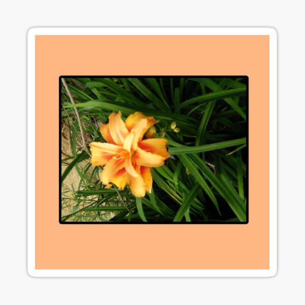 Deals Tobuy2020 Shop | Redbubble