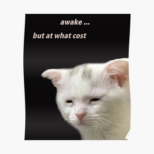 "awake but at what cost ?" Poster by spooklex | Redbubble