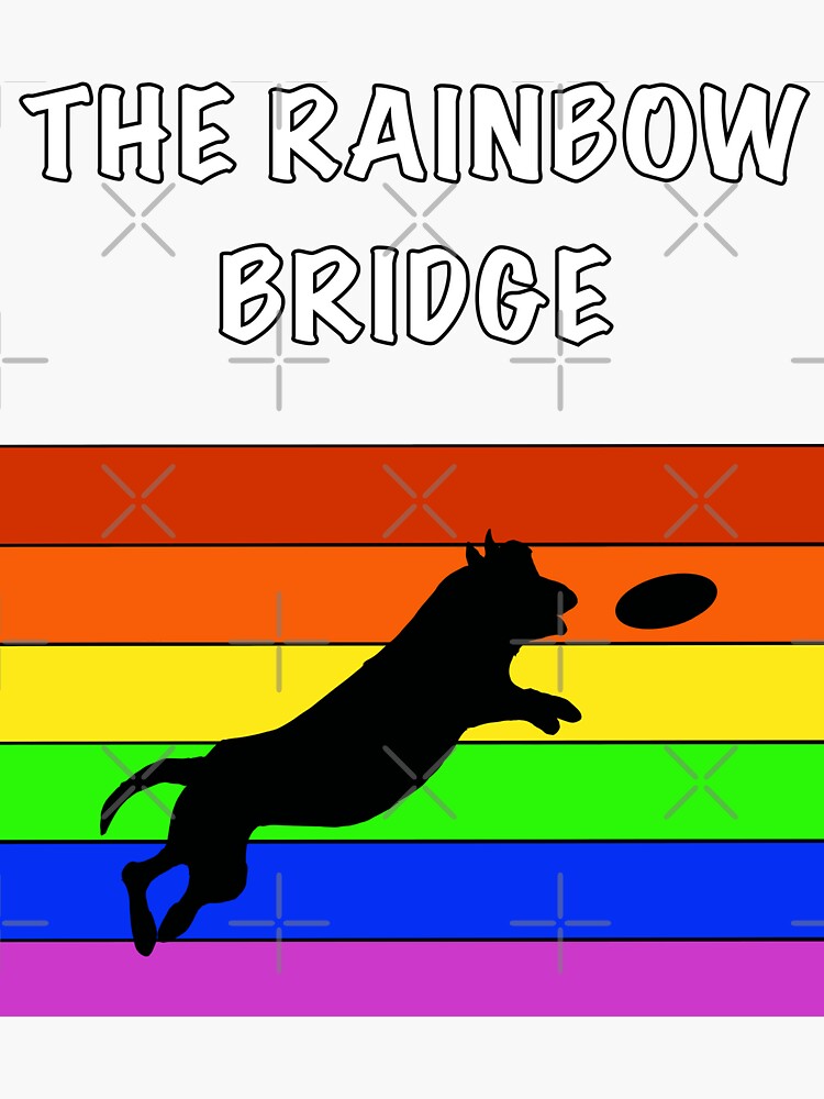 "Rainbow Bridge" Sticker for Sale by BusyMonkeys | Redbubble