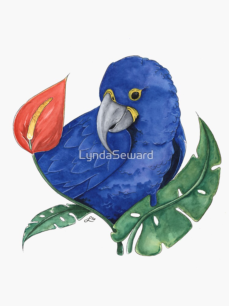 "Hyacinth Macaw" Sticker by LyndaSeward | Redbubble