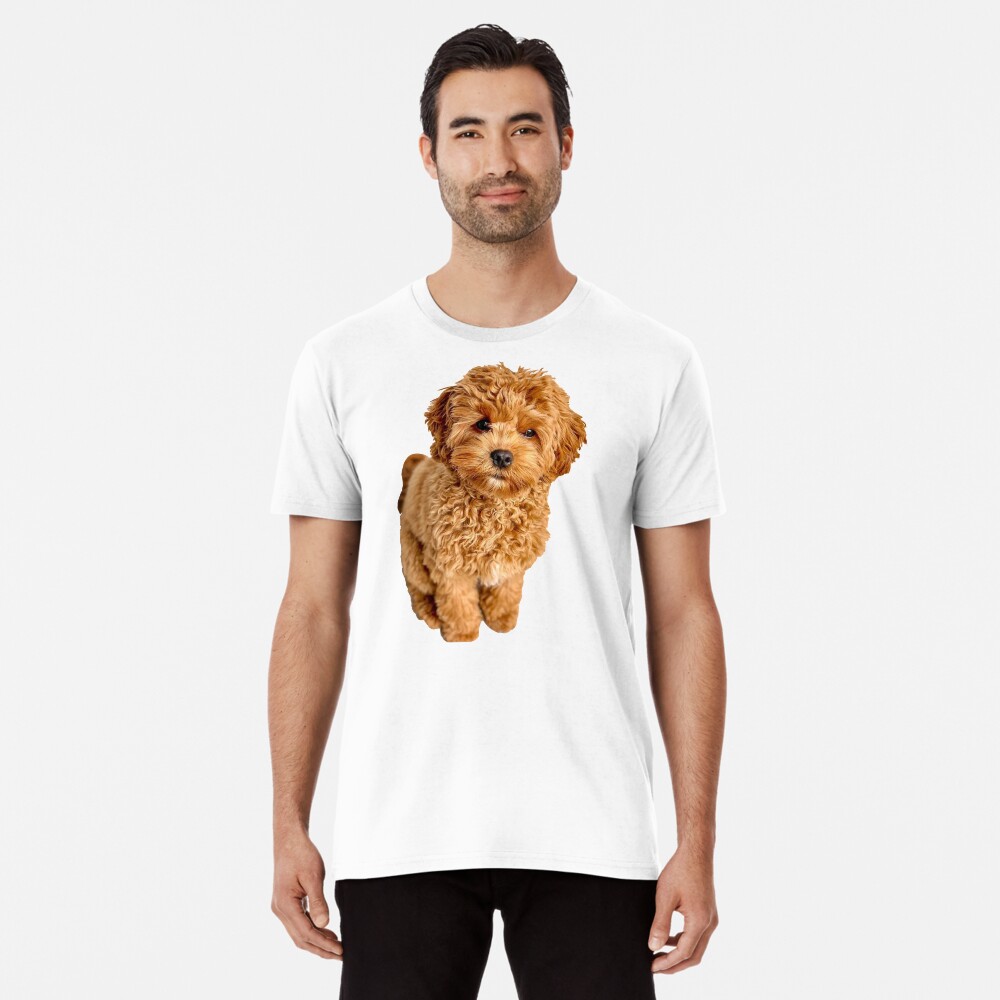 "Cavapoo" Sticker for Sale by thecavapootales | Redbubble