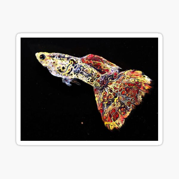 "Guppy 1" Sticker by Vikingstaad | Redbubble