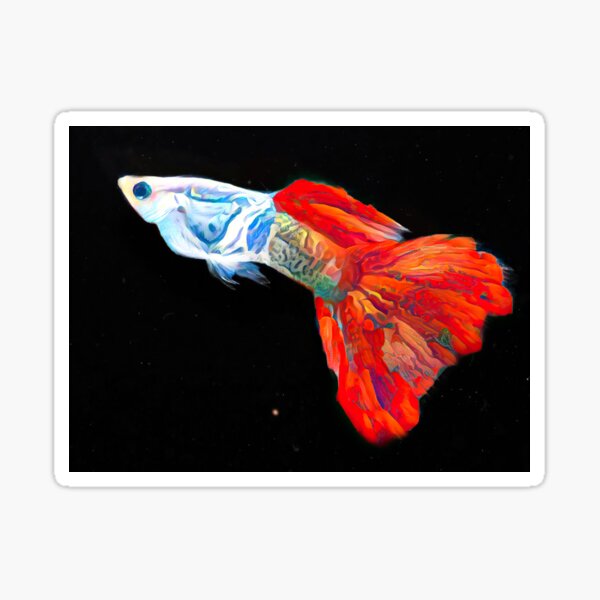 "Guppy 4" Sticker for Sale by Vikingstaad | Redbubble