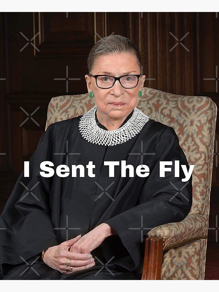 "I SENT THE FLY MEME | RBG | RUTH BADER GINSBURG | MIKE PENCE FLY ...