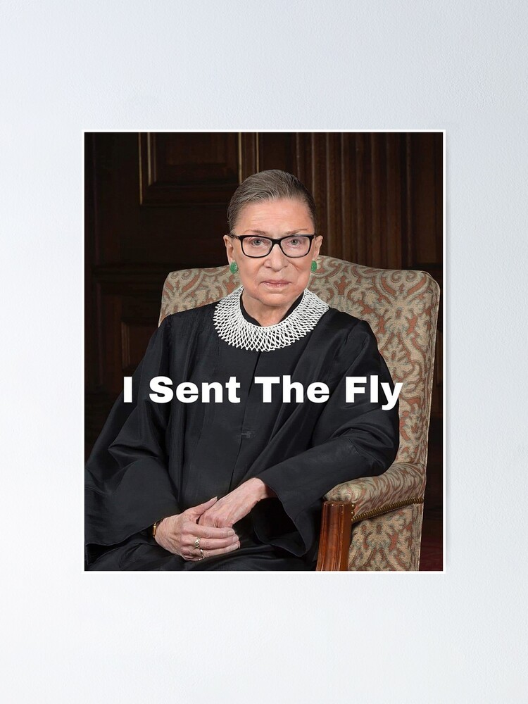 "I SENT THE FLY MEME | RBG | RUTH BADER GINSBURG | MIKE PENCE FLY | Vice Presidential Debate Fly ...