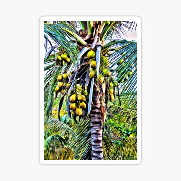 "Coconut Tree" Sticker by Bluemarlin | Redbubble