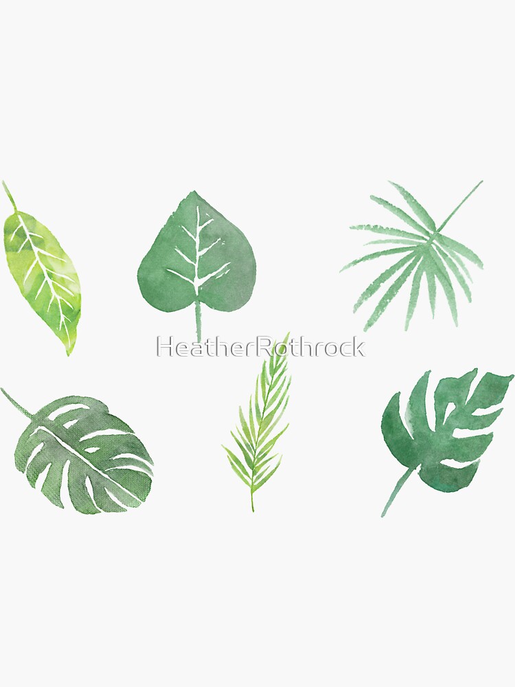 "Watercolor Palm Leaves Sticker Pack" Sticker by HeatherRothrock ...