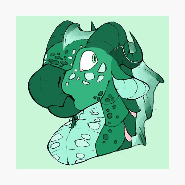 "Turtle (Wings of Fire/WoF)" Photographic Print by sketchytopazz ...