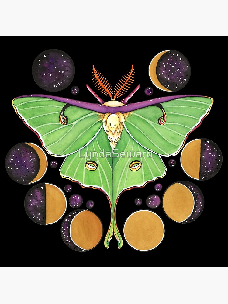 "Lunar Moth" Poster for Sale by LyndaSeward | Redbubble