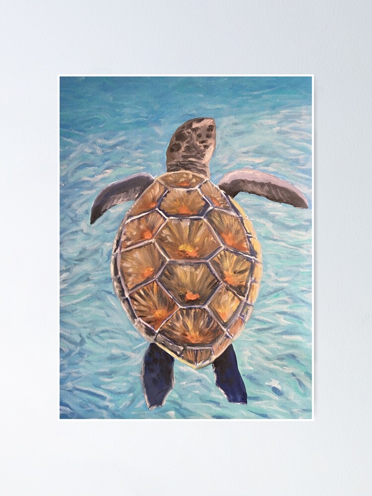 "Save the Turtles" Poster by cindy-cross | Redbubble