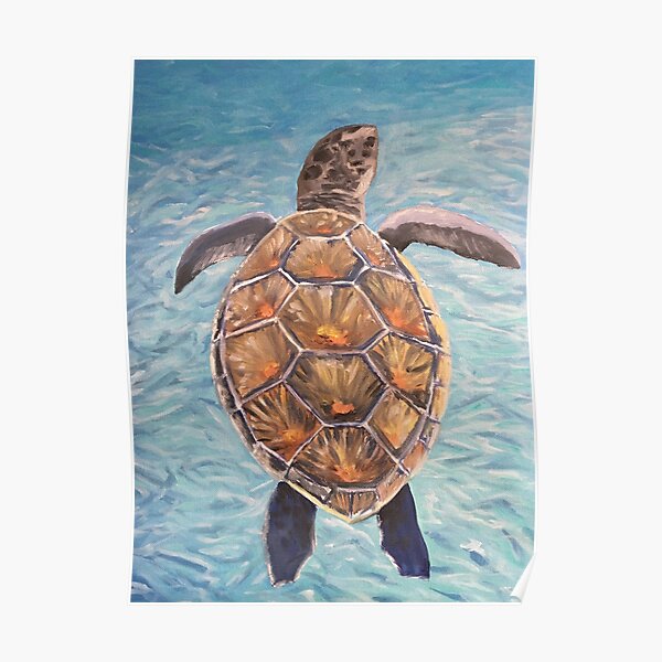 "Save the Turtles" Poster by cindy-cross | Redbubble