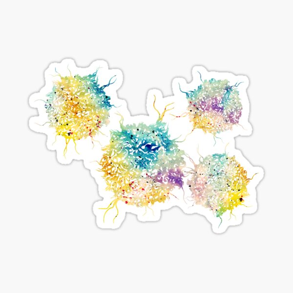 "T cells" Sticker for Sale by erzebetth | Redbubble