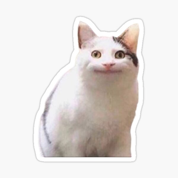 "Happy cat" Sticker for Sale by DeclanTheFirth | Redbubble