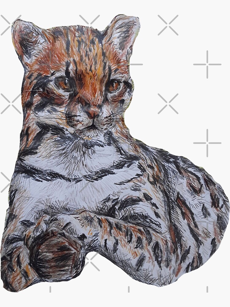 "Ocelot drawing" Sticker for Sale by Martascreations | Redbubble