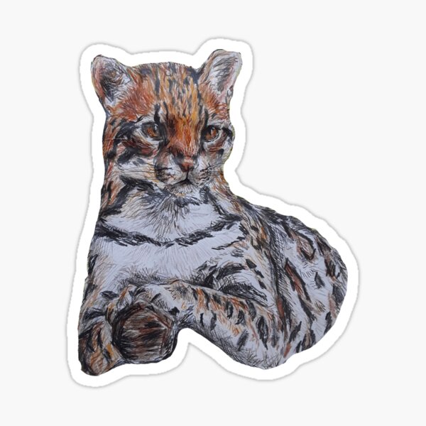 "Ocelot drawing" Sticker for Sale by Martascreations | Redbubble