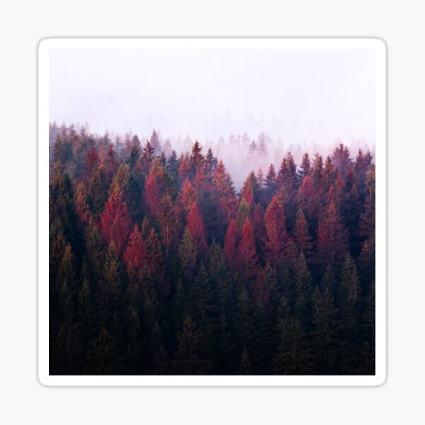 "The Ridge" Sticker for Sale by tekay | Redbubble