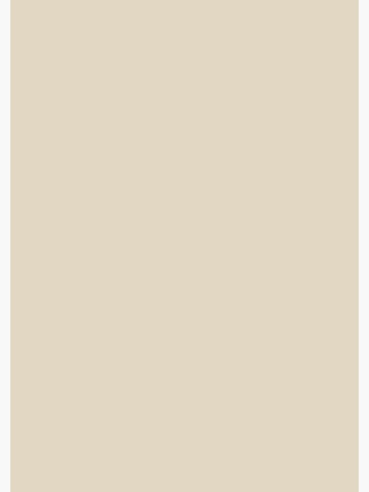 "Creamy Buff Beige Solid Color Pairs To Benjamin Moore Muslin OC-12 ...