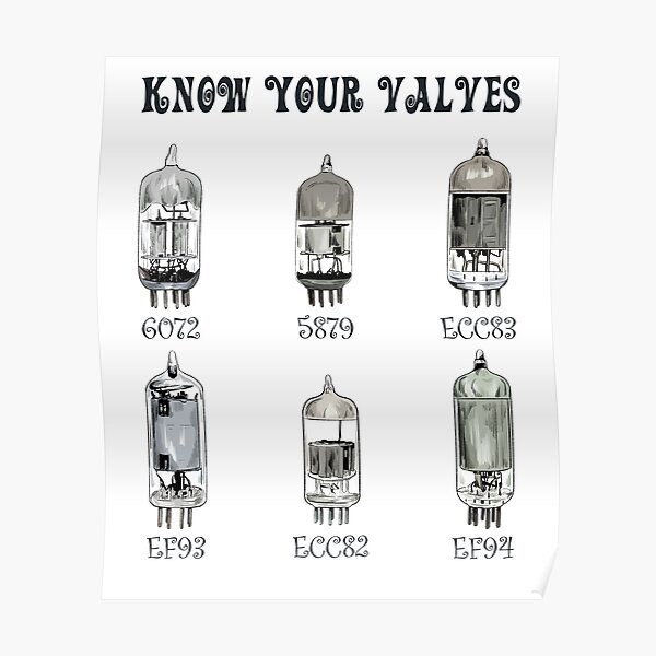 "Know Your Valves" Poster by artichokes | Redbubble