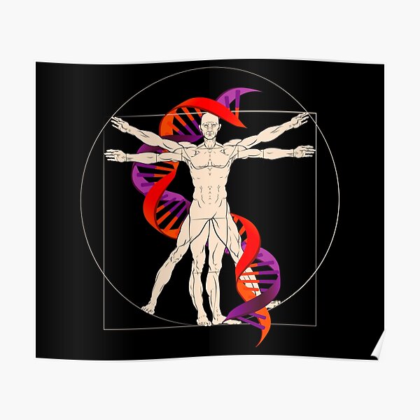 "Vitruvian Man - DNA Vitruvian Man" Poster by brokenkneestees | Redbubble