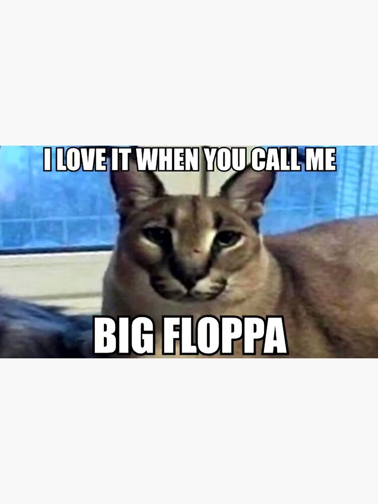 "I love it when you call me Big Floppa" Sticker for Sale by Aidangaming ...