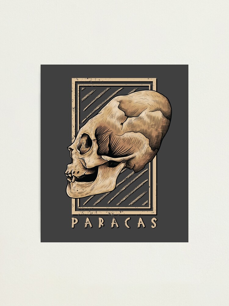 "Paracas Skull - Original Ancient Peruvian Elongate Skull Nephilim ...