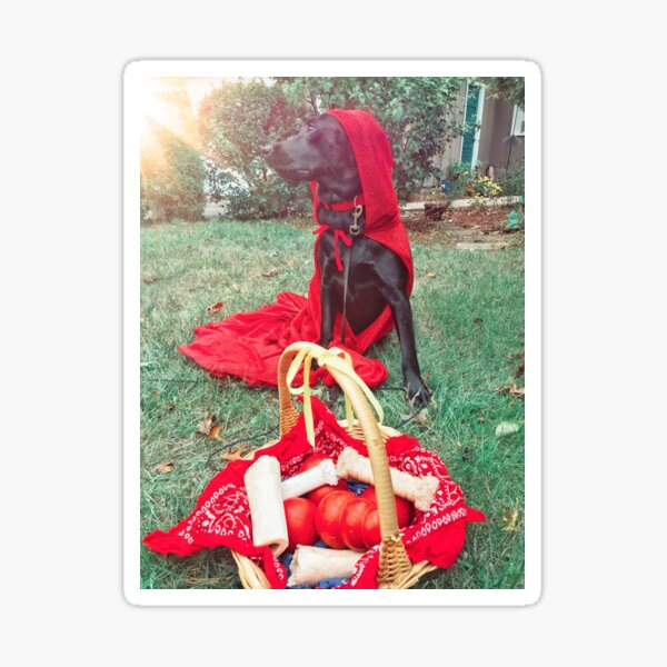 "Little Red Puppy Hood" Sticker for Sale by KronosPhotos | Redbubble