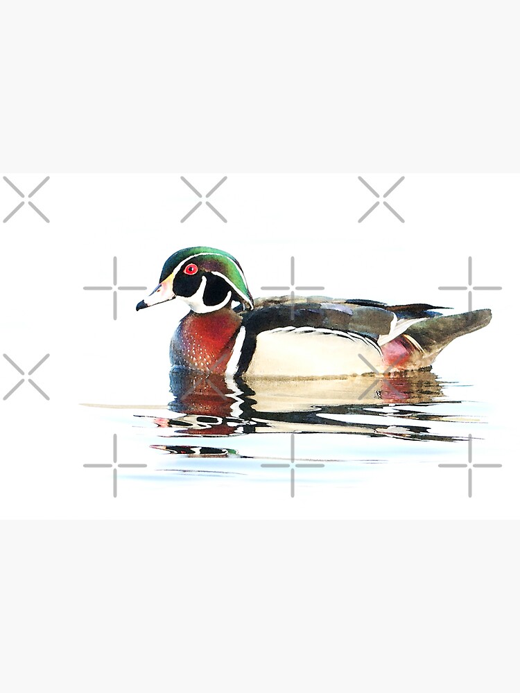 "Watercolour Wood Duck" Sticker by darby8 | Redbubble