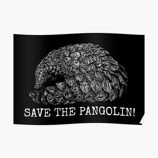 "Save the Pangolin!" Poster for Sale by NLaRosaArt | Redbubble