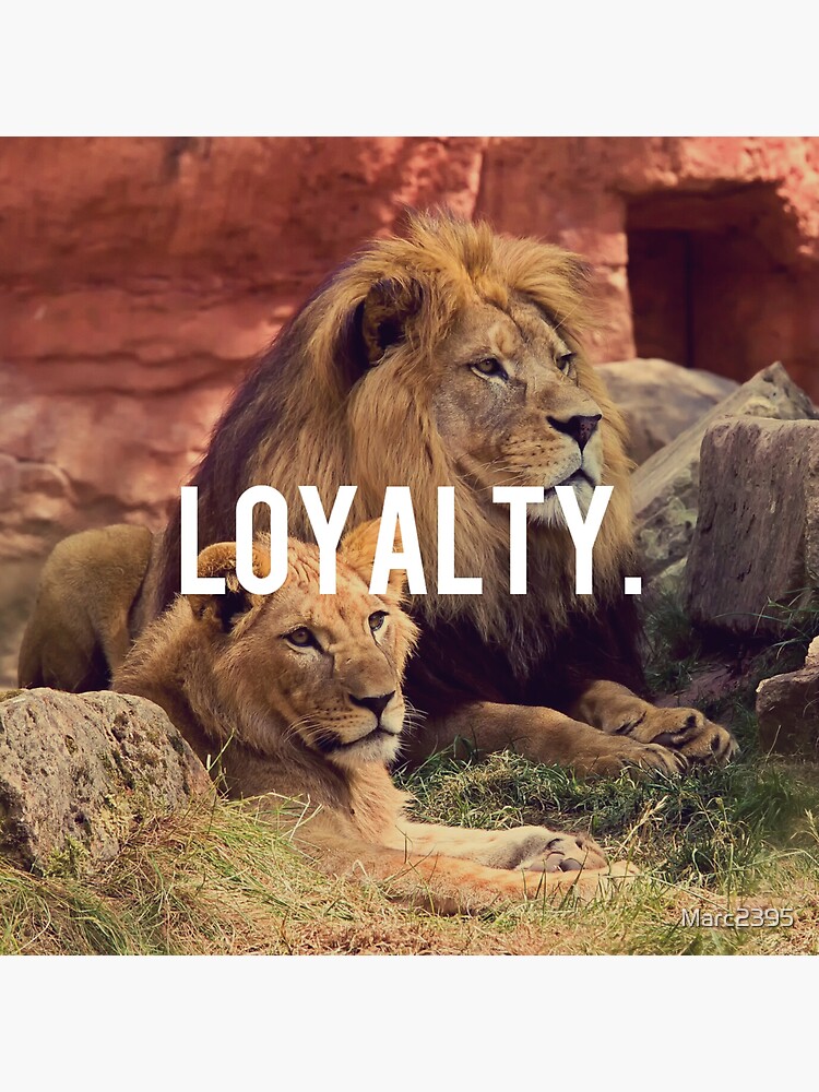 "Loyalty lions, Motivation" Sticker for Sale by Marc2395 | Redbubble