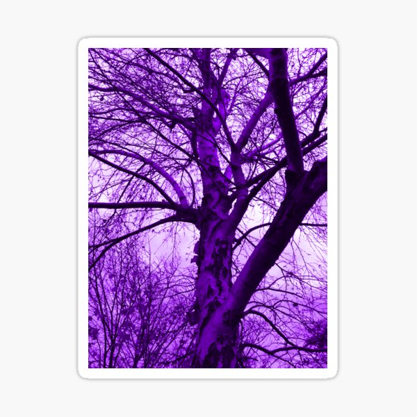 "Purple Bare Tree" Sticker for Sale by PlusAdore | Redbubble