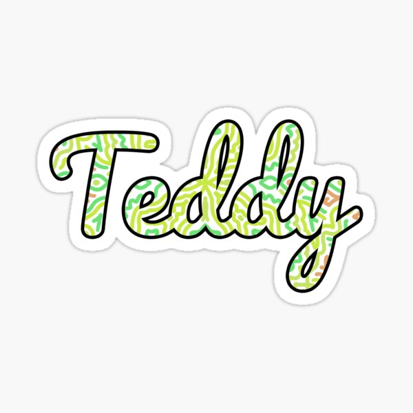 "Teddy Handwritten Name" Sticker for Sale by inknames | Redbubble