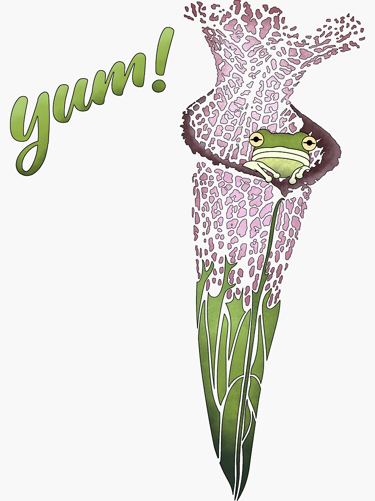"Yummy Frog - Shaded" Sticker for Sale by nonesuchnursery | Redbubble