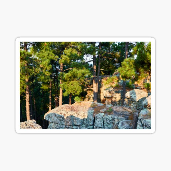 "Trees On The Rocks" Sticker for Sale by BGSPhoto | Redbubble
