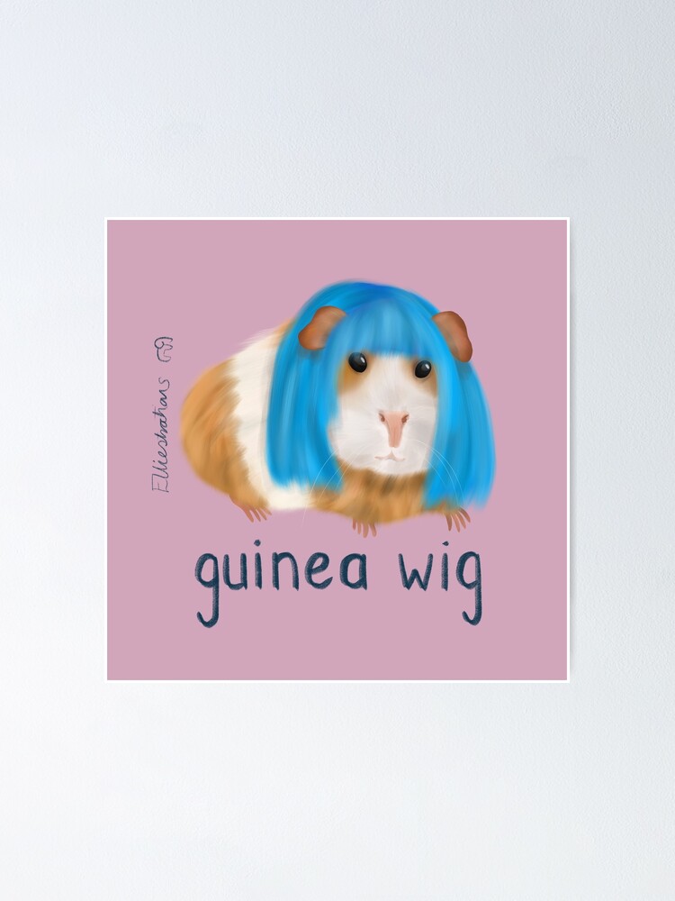 "Guinea pig in a wig " Poster for Sale by Elliestrations | Redbubble